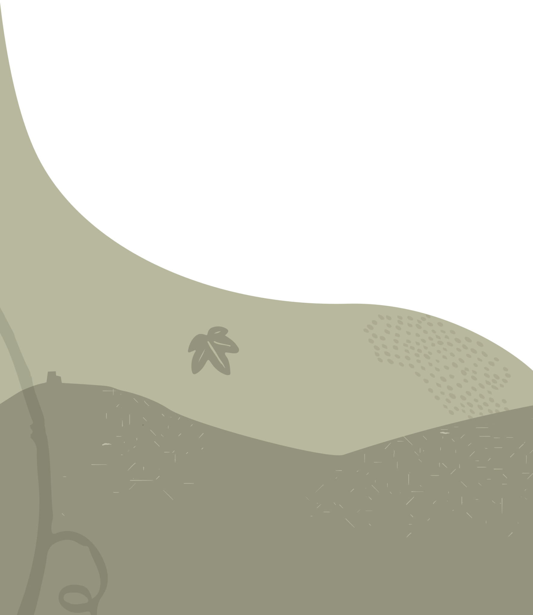 Eric Louis vineyard estate - Winegrowers in Sancerre Val de Loire